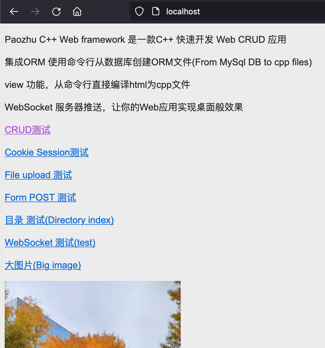 GitHub - hggq/paozhu: Paozhu🧨 C++ Web Framework,(Based on C++20) Support HTTP/1 HTTP/2, Rapid ...